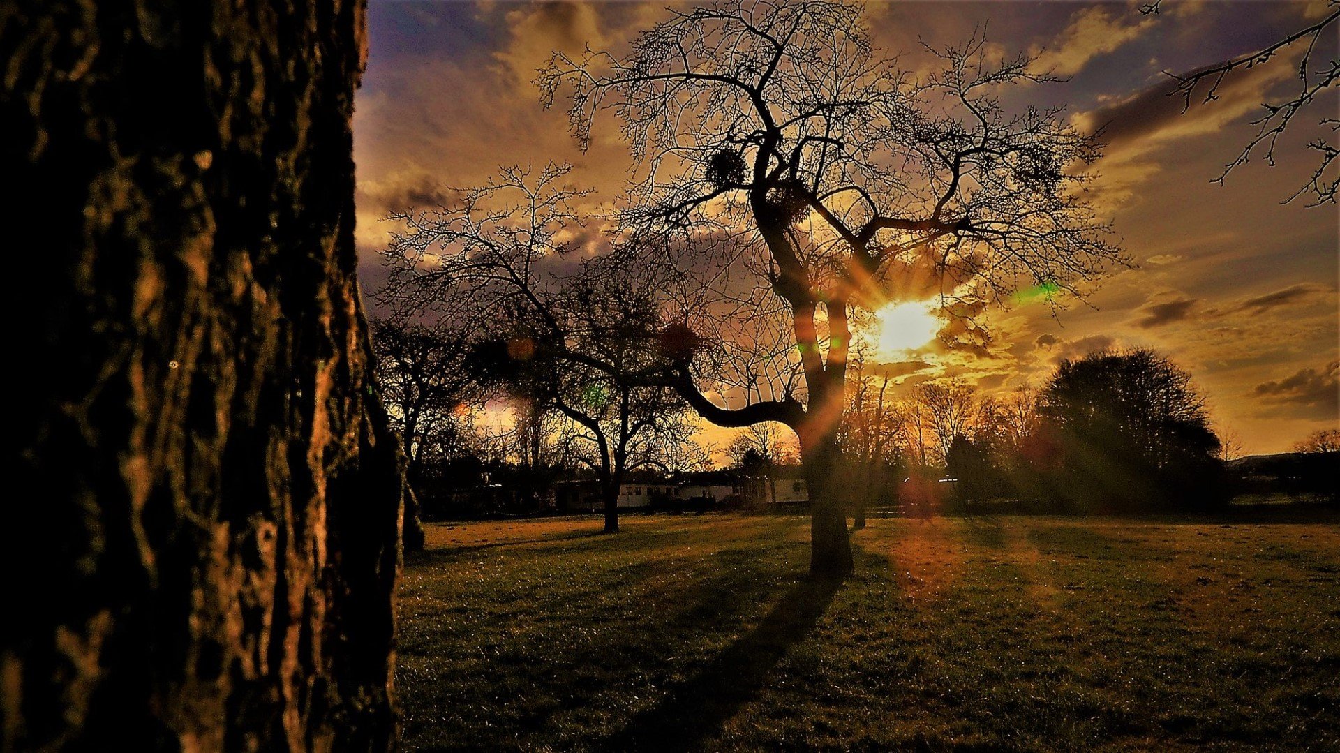 Startseite | Stadt Solms