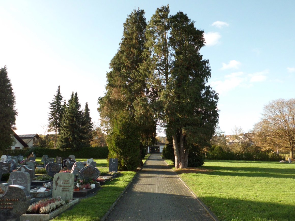 Niederbiel | Stadt Solms