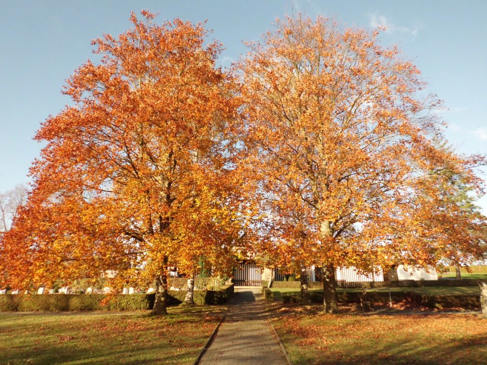 Oberbiel | Stadt Solms