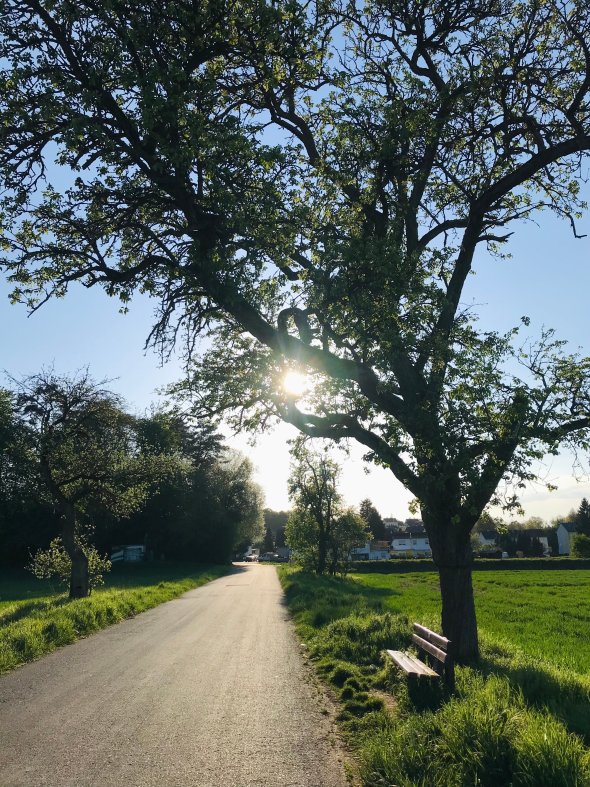 Burgsolms | Stadt Solms